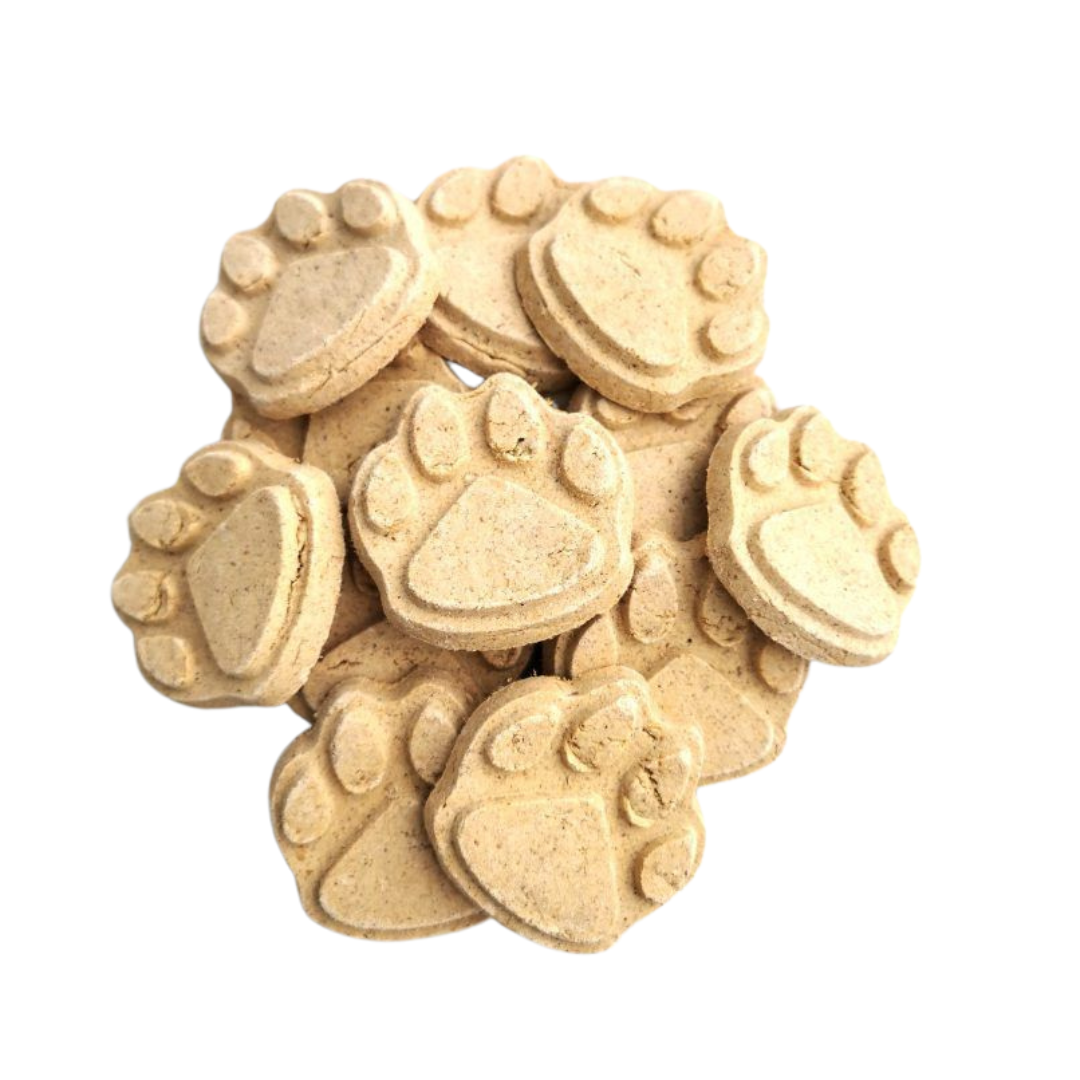 Dog Cone Shaped Treat Bag - Decs Pets